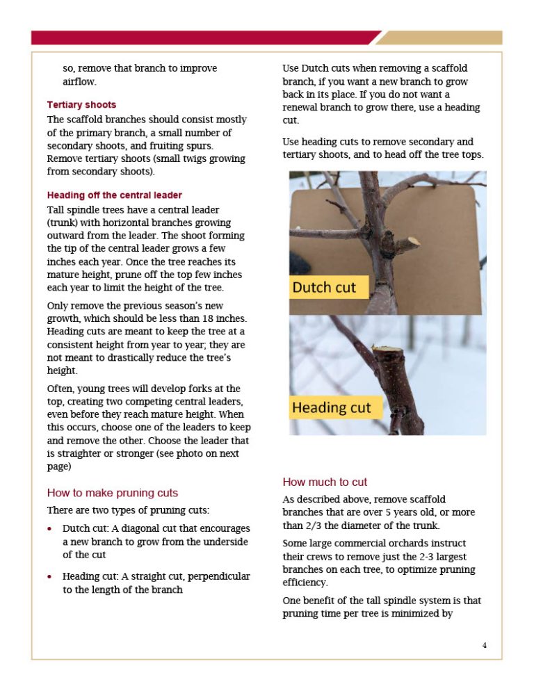 Apple Festival 2025 - White Earth Tribal & Community College